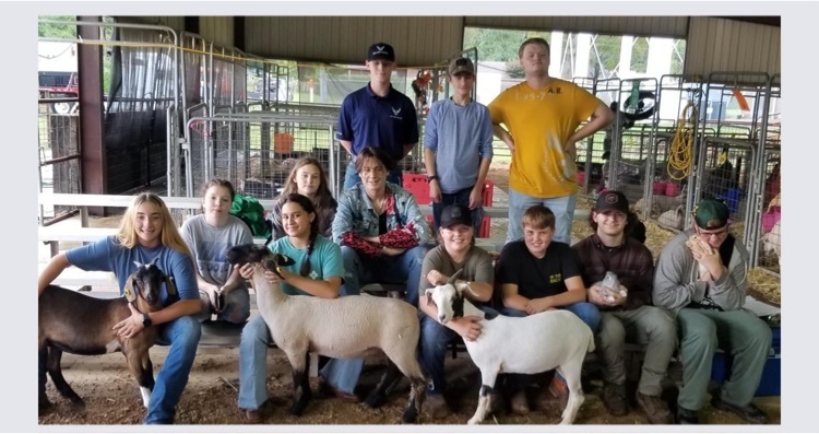 Oark FFA Represents at the Johnson County Fair | Oark School